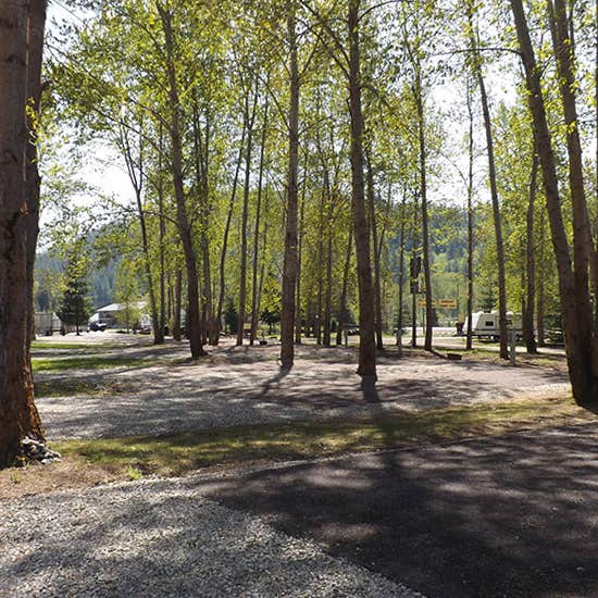 Crystal Gold Mine Camping | The Dyrt