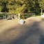 Blu-Shastin RV Park | Dryden, Washington