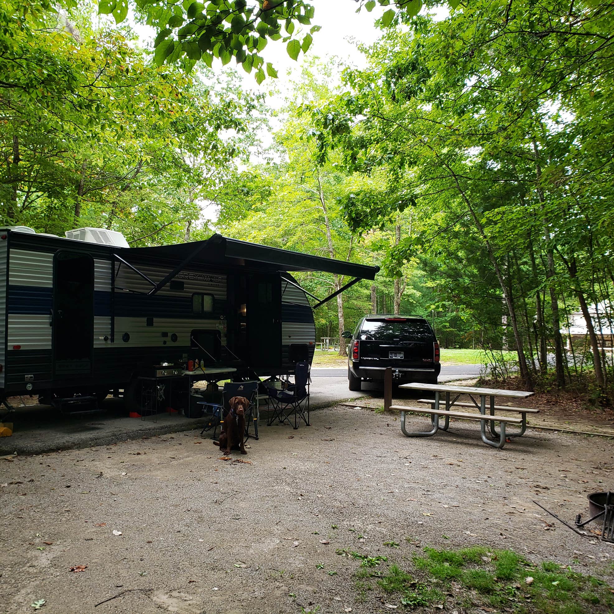 Bandy Creek Campground — Big South Fork National River and Recreation ...
