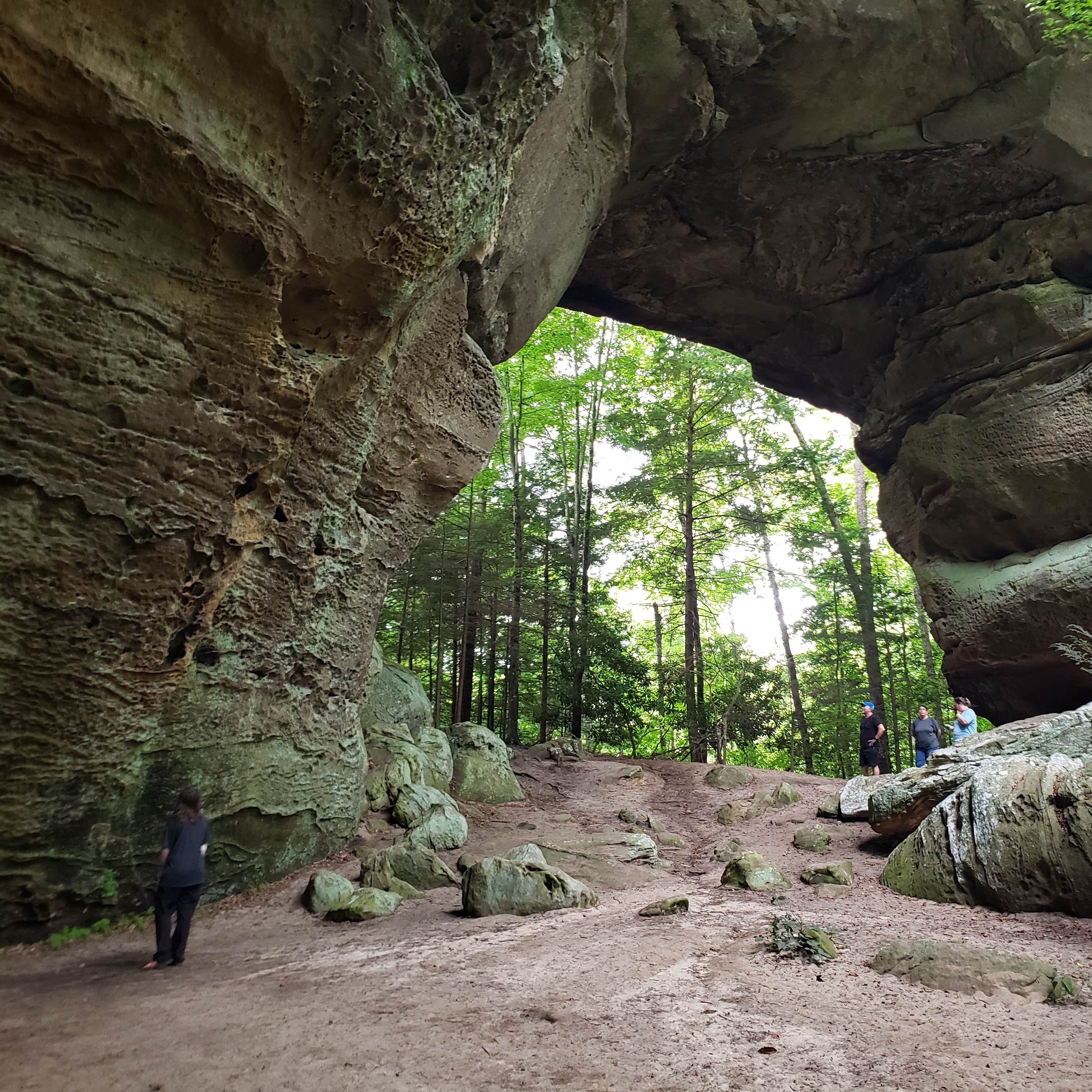 Bandy Creek Campground — Big South Fork National River and Recreation ...
