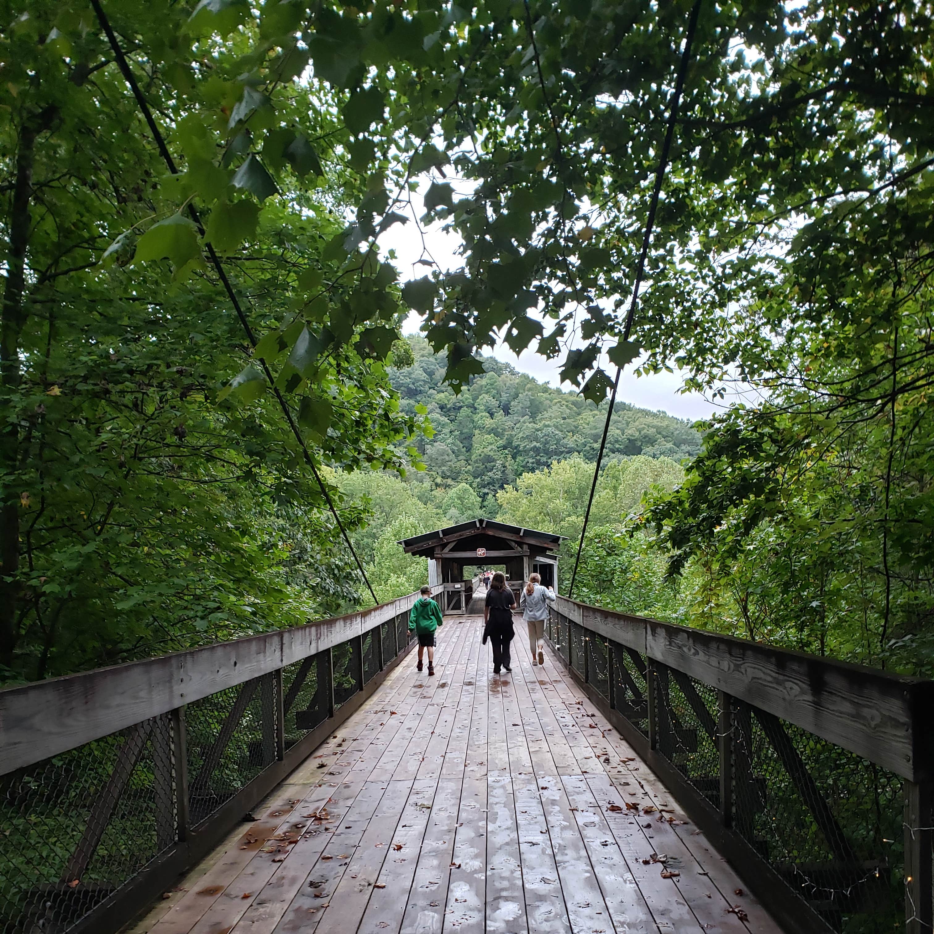 Bandy Creek Campground — Big South Fork National River and Recreation ...