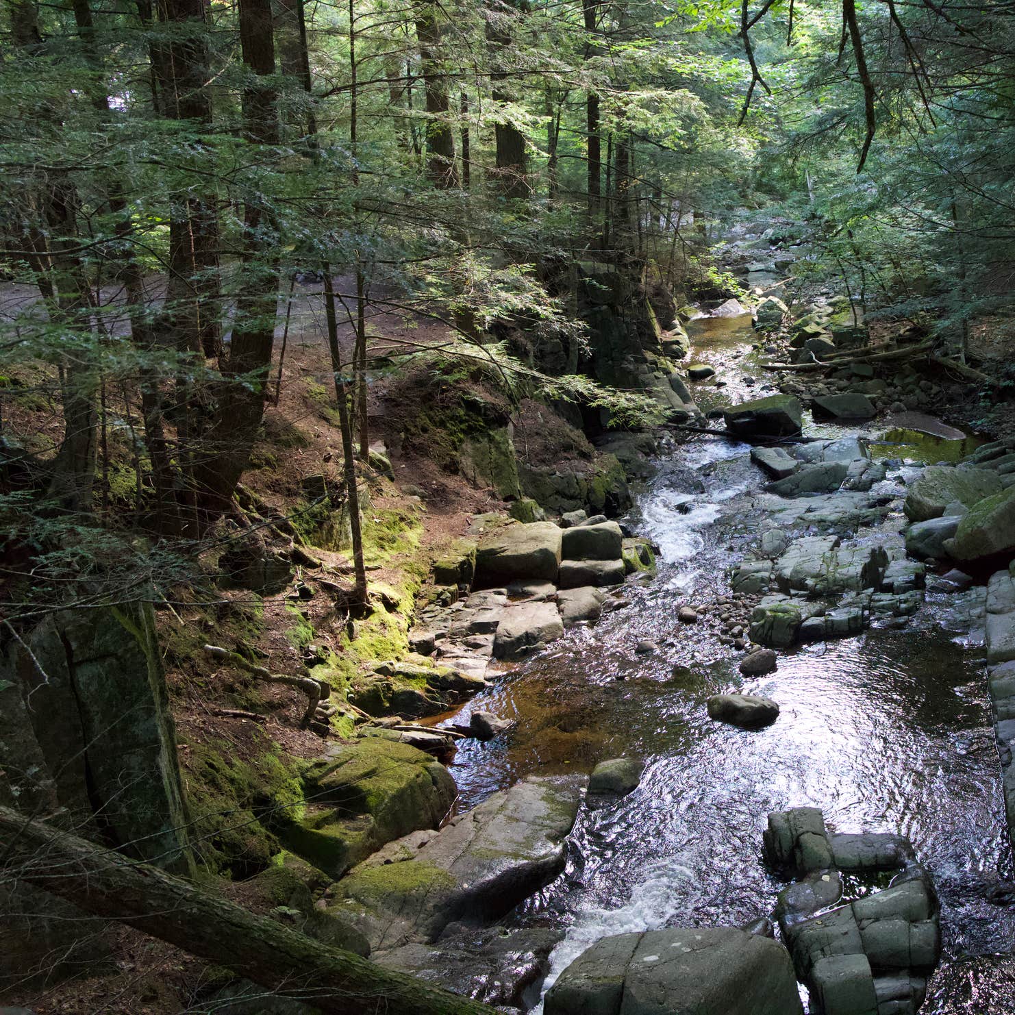 Lewey Lake Campground | Speculator, New York