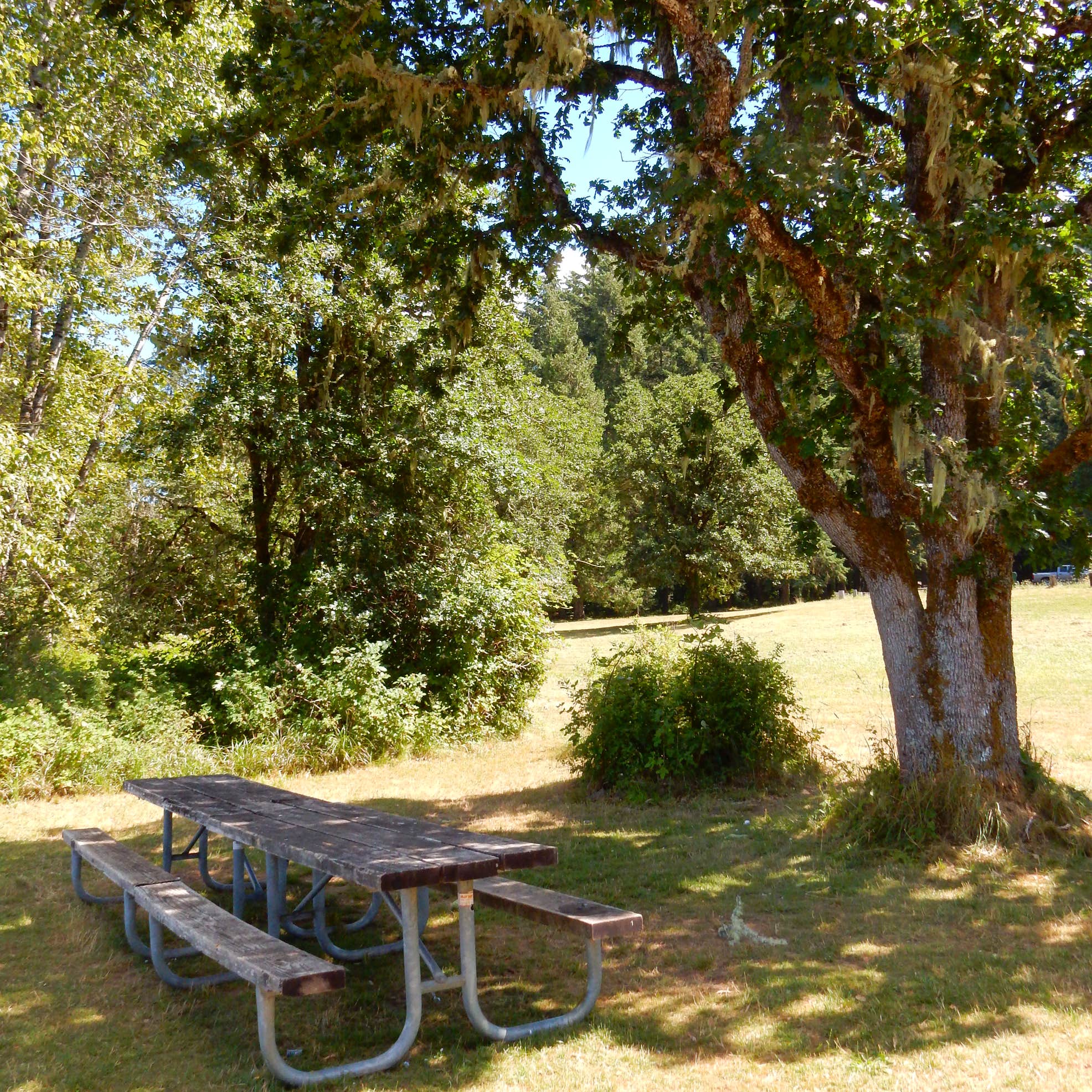 Baker Bay Campgrounds & Marina - a Lane County Park Camping | The Dyrt