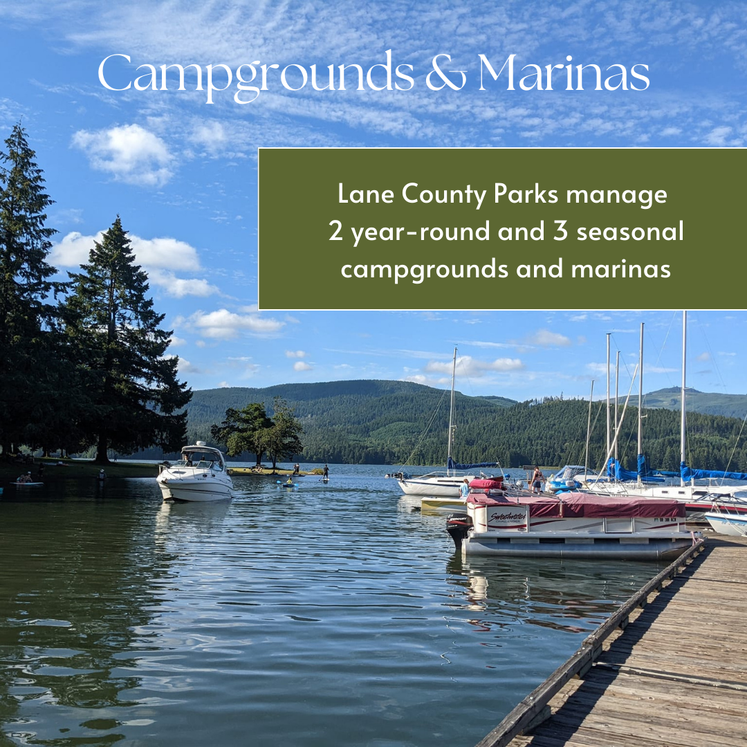 Baker Bay Campgrounds & Marina - a Lane County Park | Dorena, OR