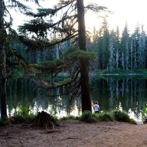 Forlorn Lakes Camping | Trout Lake, Washington