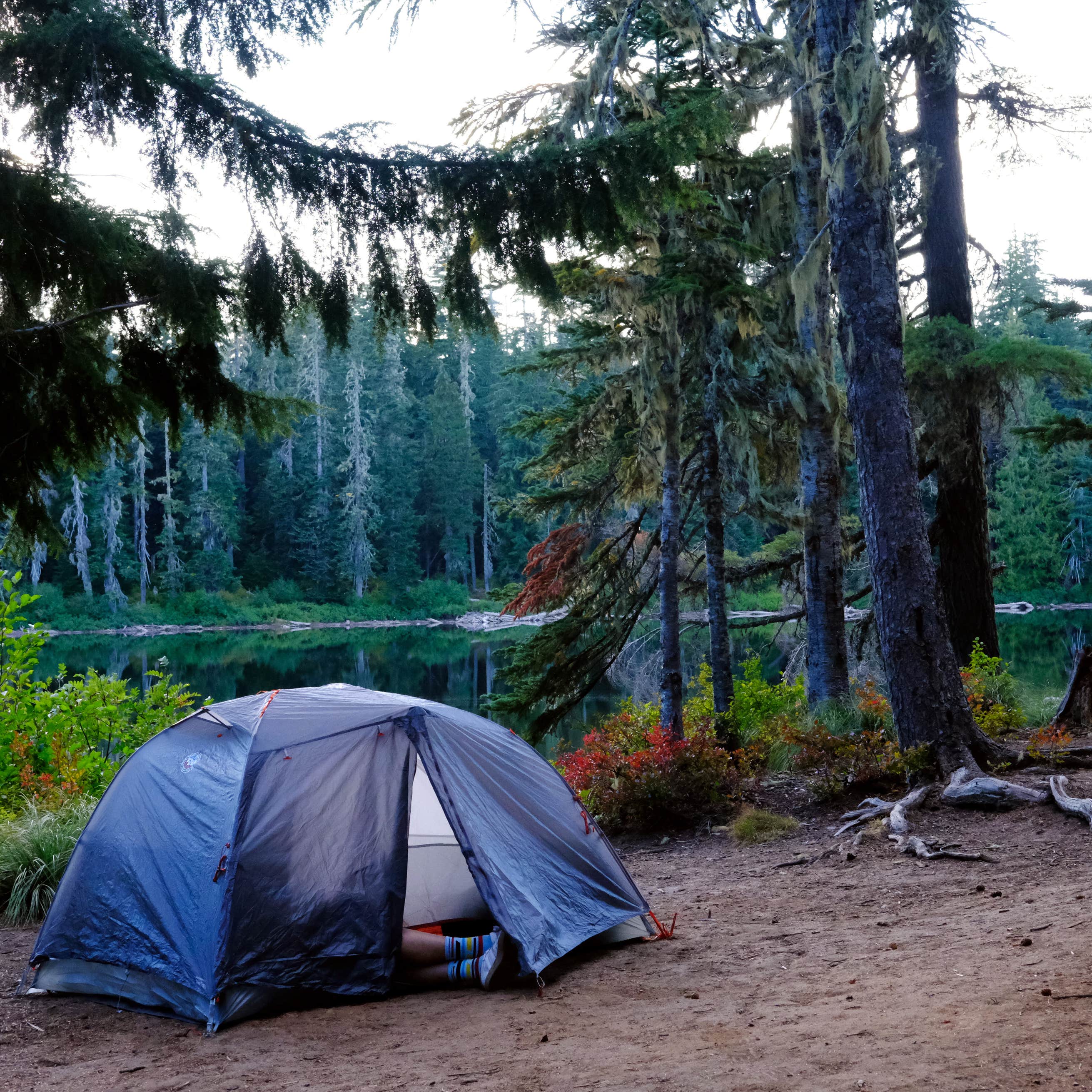 Forlorn Lakes Camping | Trout Lake, Washington