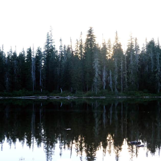Forlorn Lakes Camping | Trout Lake, Washington