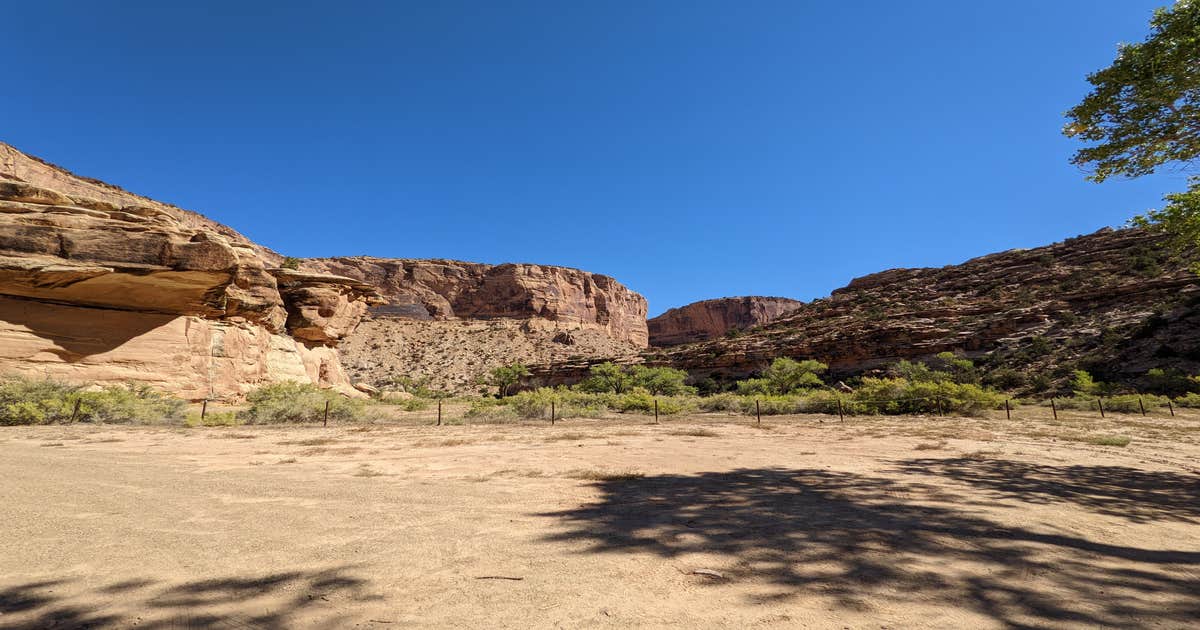 Buckhorn Draw Designated group Campsite #16 | Cleveland, Utah