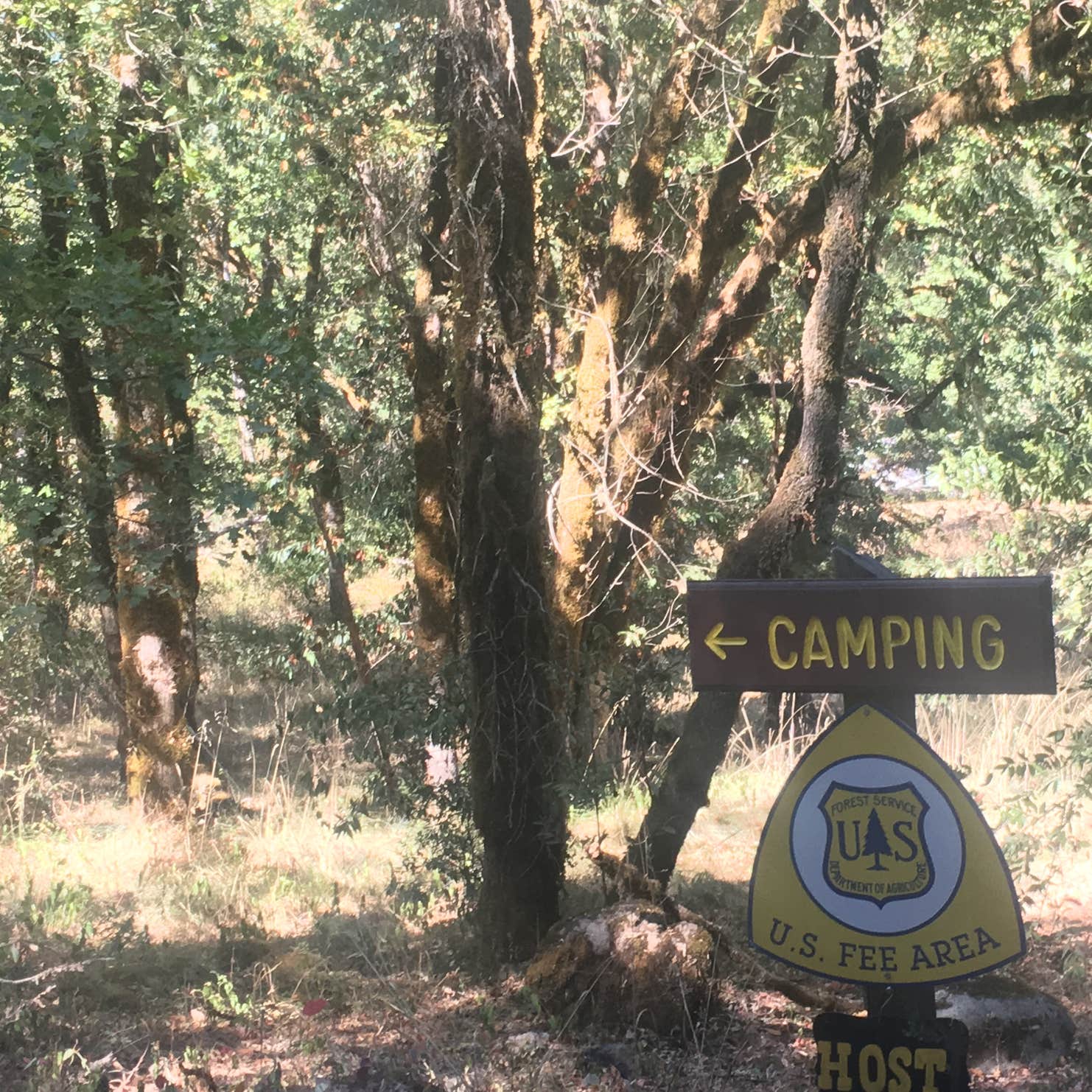 Foster Bar Campground | Agness, Oregon