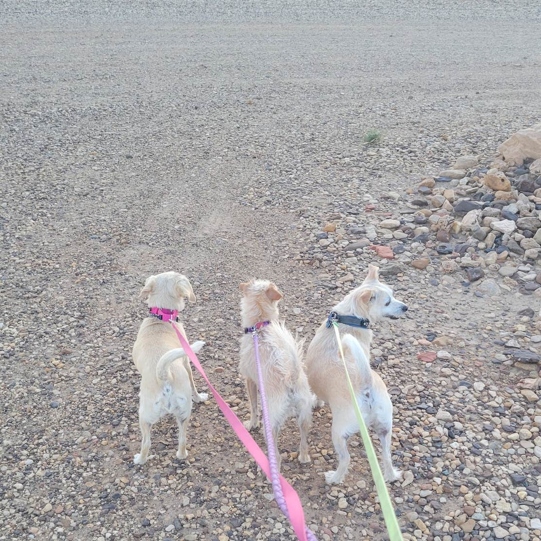 Western Star RV Ranch | Plains, Kansas