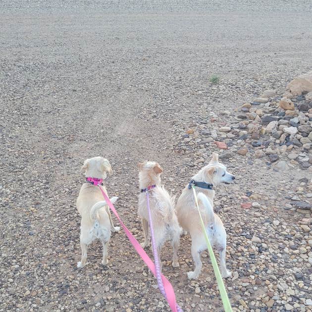 Western Star RV Ranch | Plains, Kansas