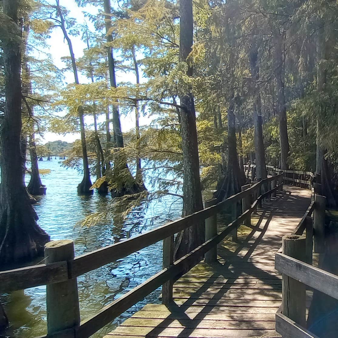 Reelfoot Lake State Park Campgrounds | Tiptonville, Tennessee