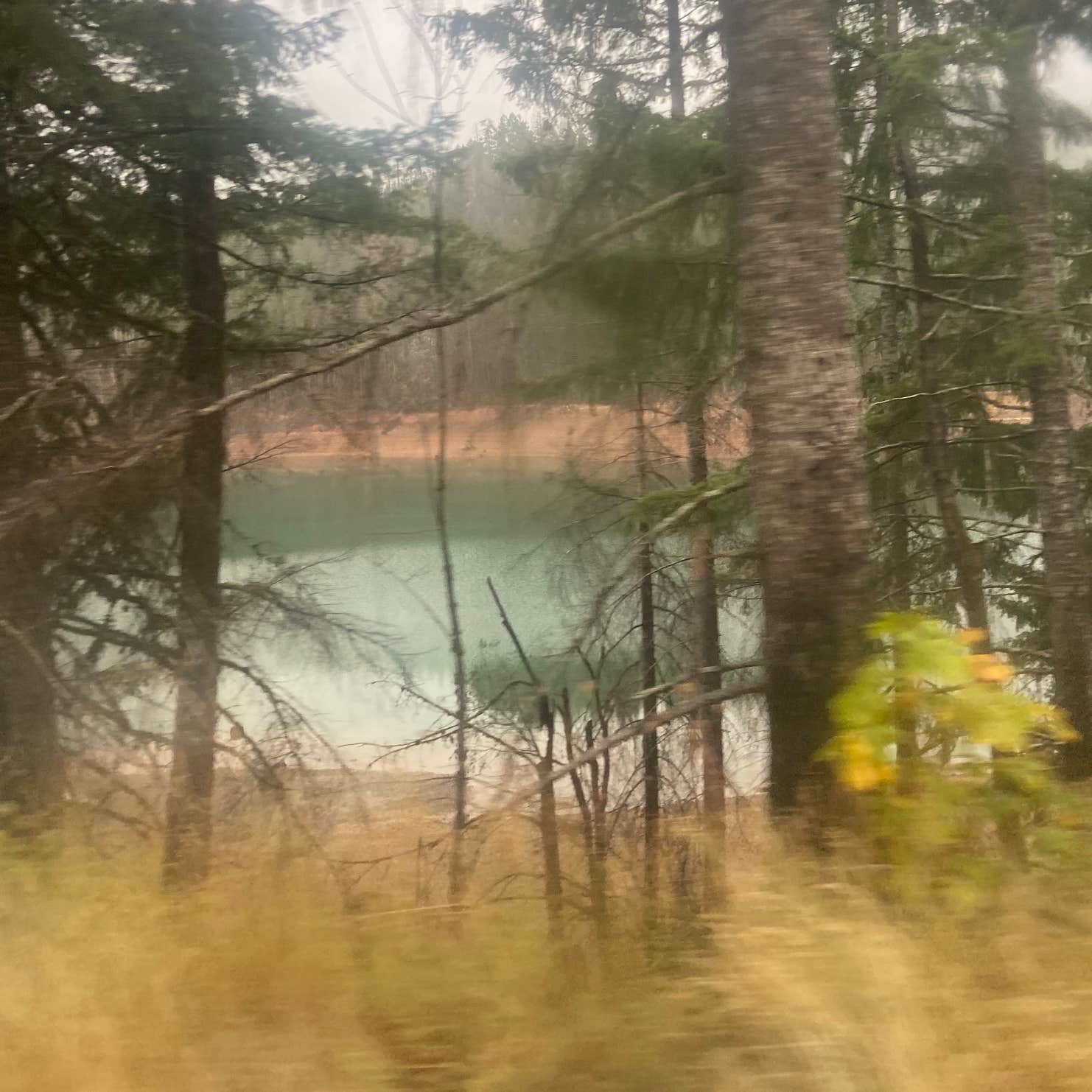 Blue River Reservoir Roadside Camping | Blue River, OR