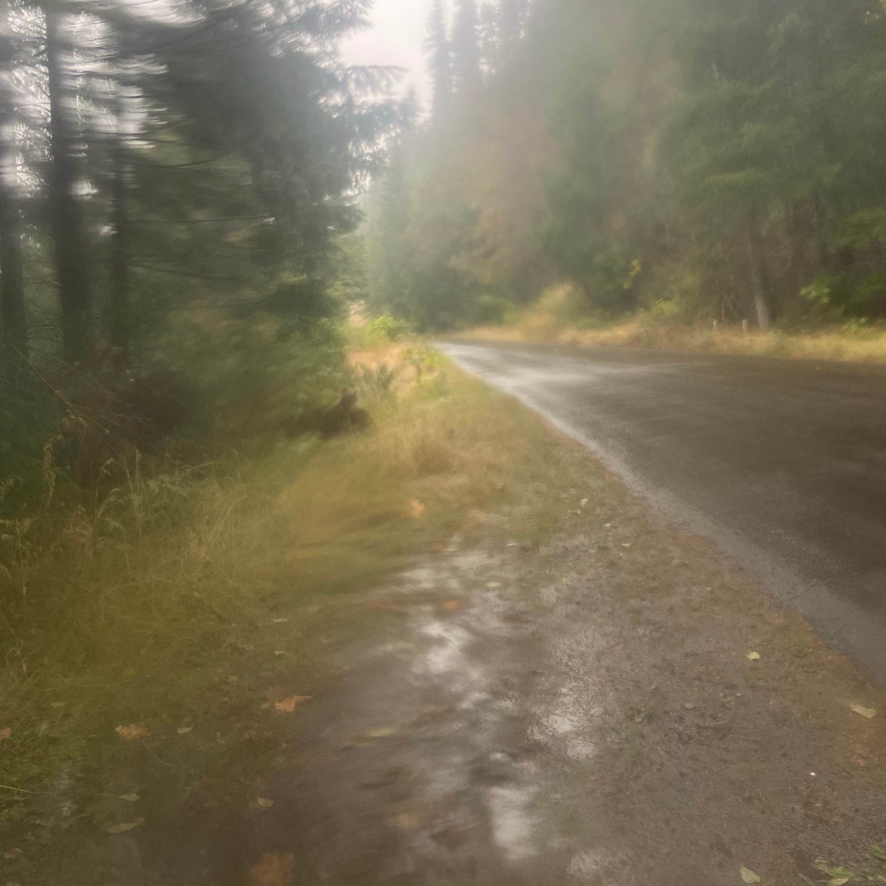 Blue River Reservoir Roadside Camping | Blue River, OR