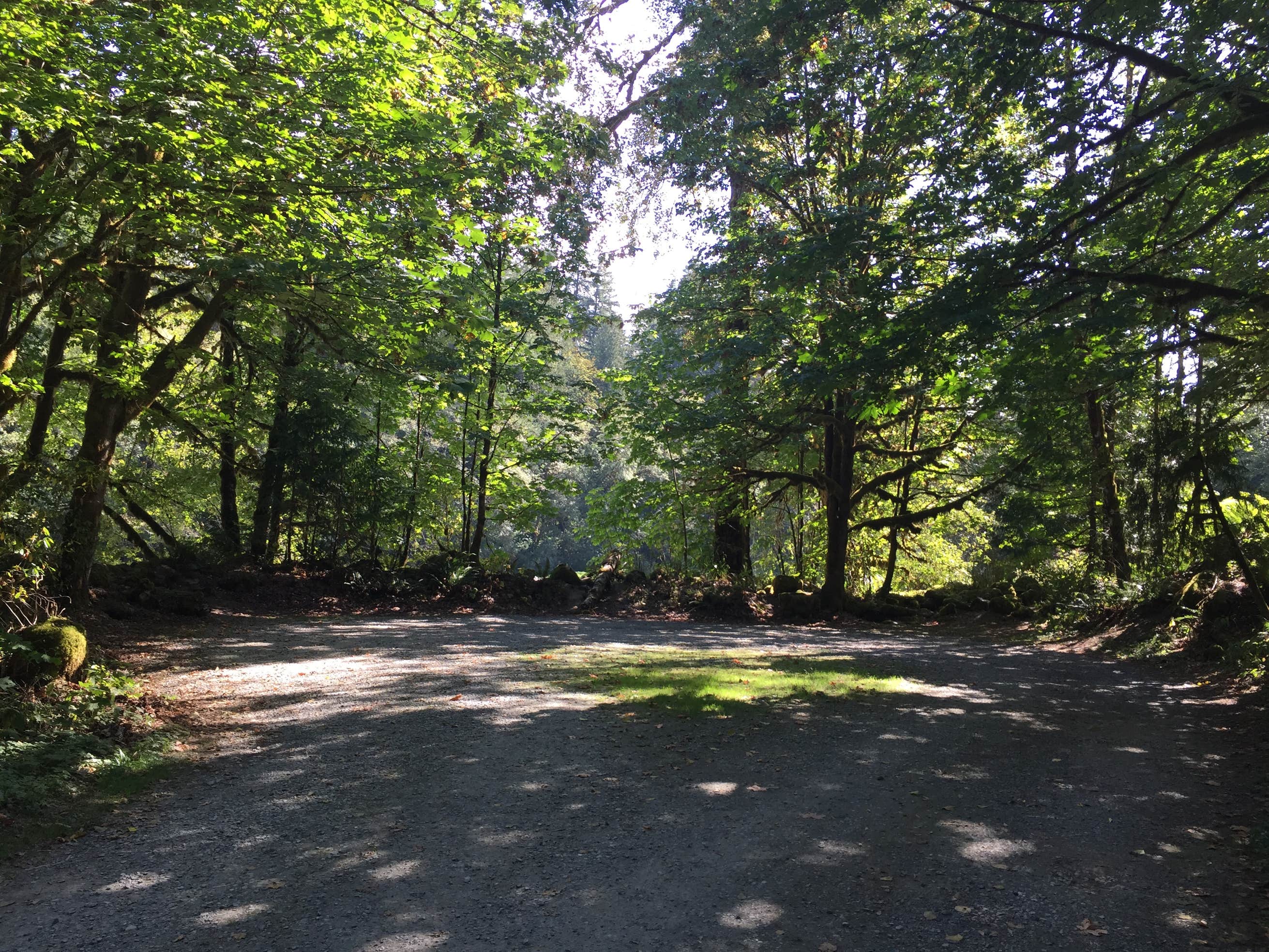 Clear Creek Campground Camping | The Dyrt