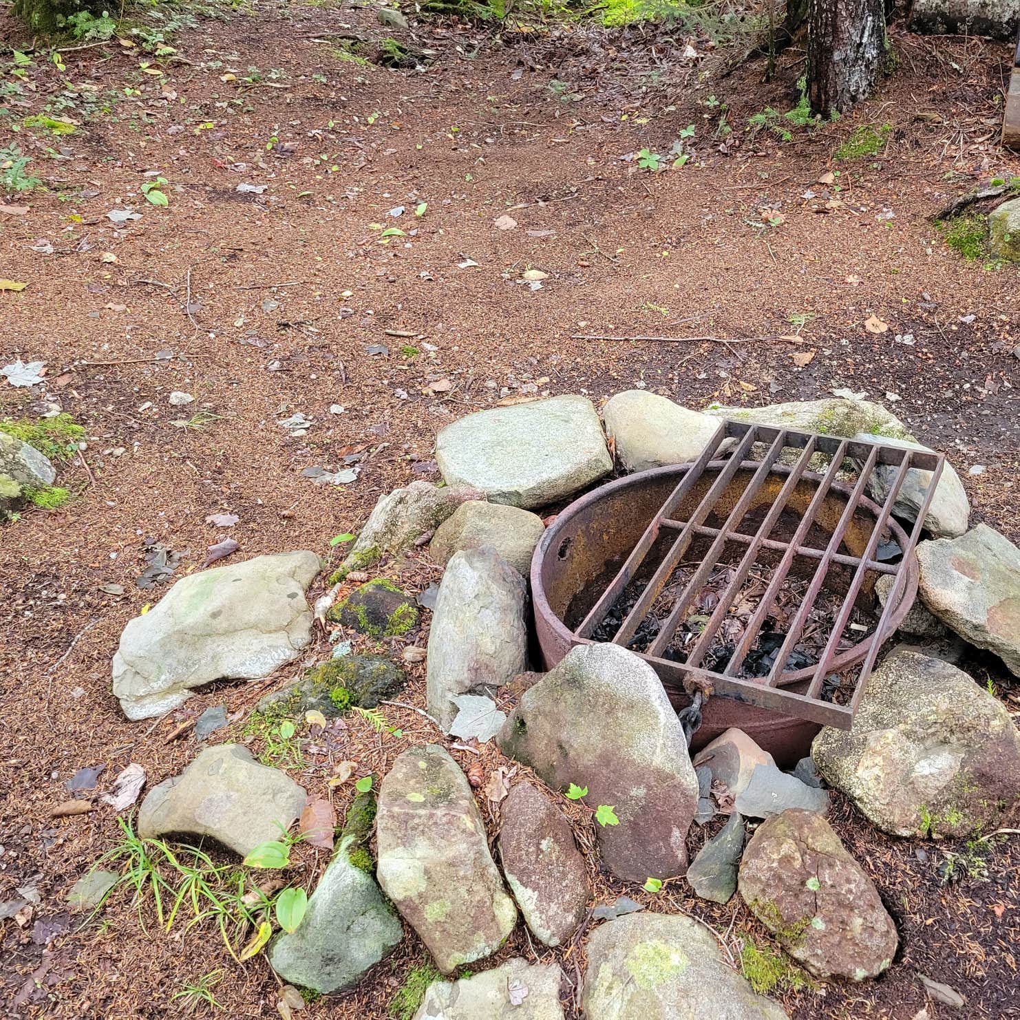 Little Notch Pond Campsite | Greenville Junction, Maine