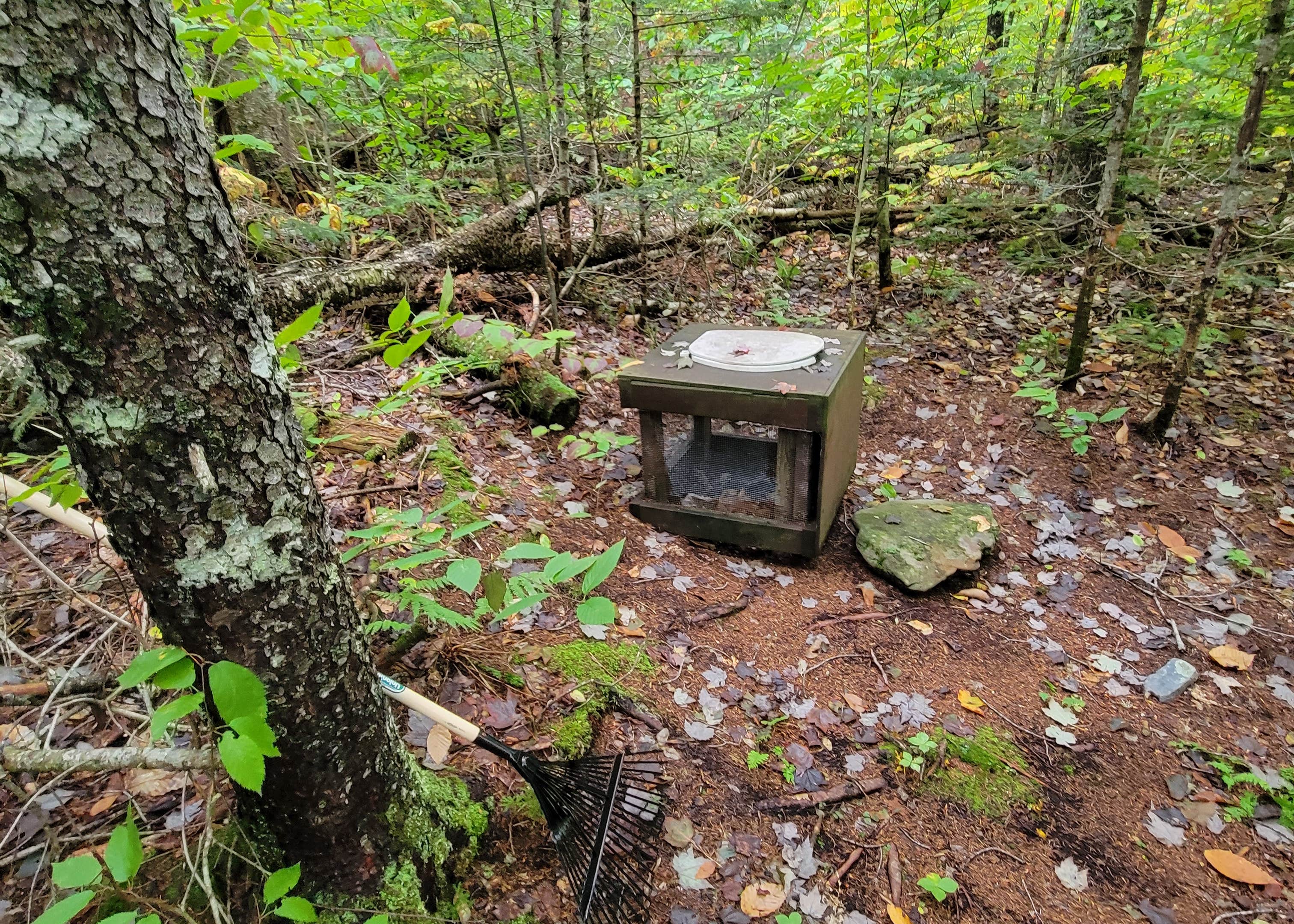 Little Notch Pond Campsite (Little Moose Public Lands) Camping | The Dyrt