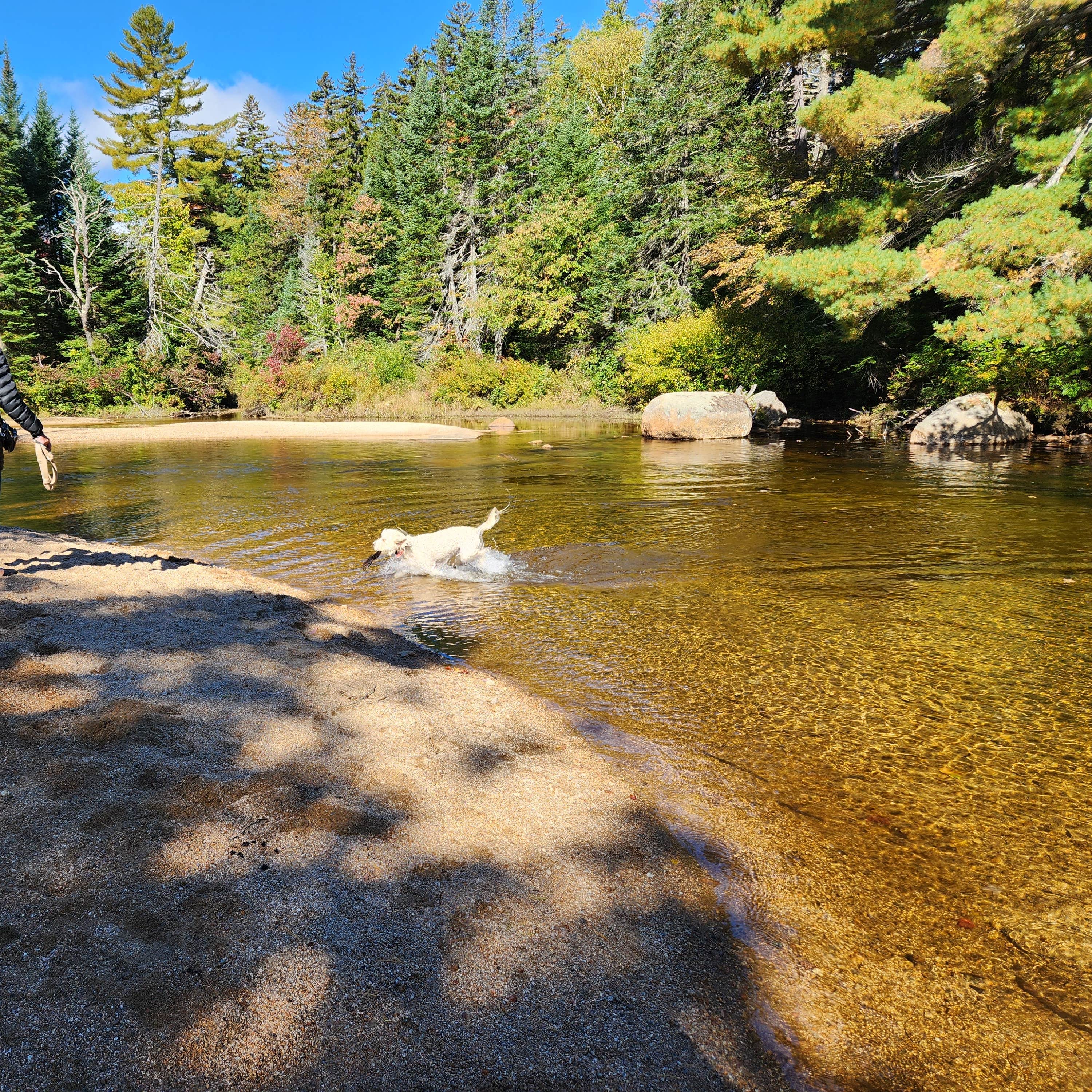 Jigger Johnson Campground | Bartlett, New Hampshire