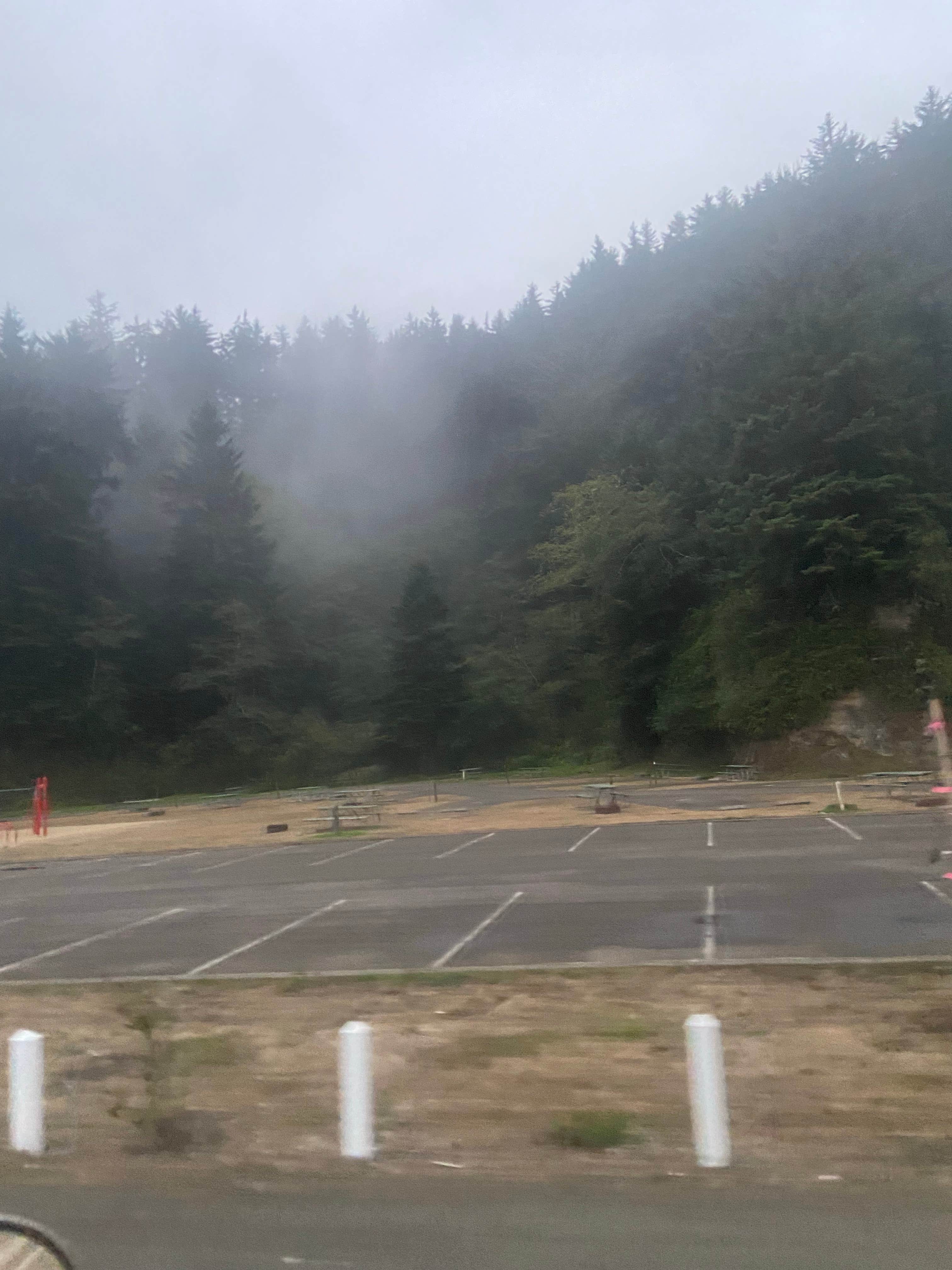 Windy Cove Campground (Section B) Camping | The Dyrt