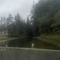 Windy Cove Campground (Section B) | Reedsport, Oregon