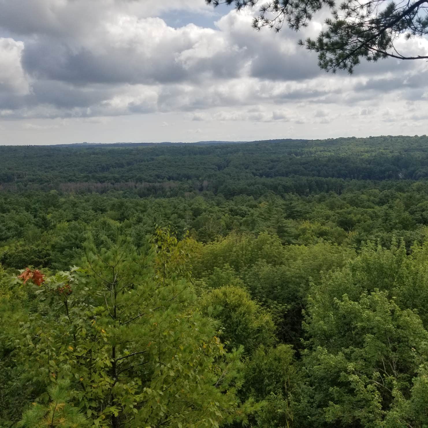 Wells State Park Campground | Sturbridge, Massachusetts