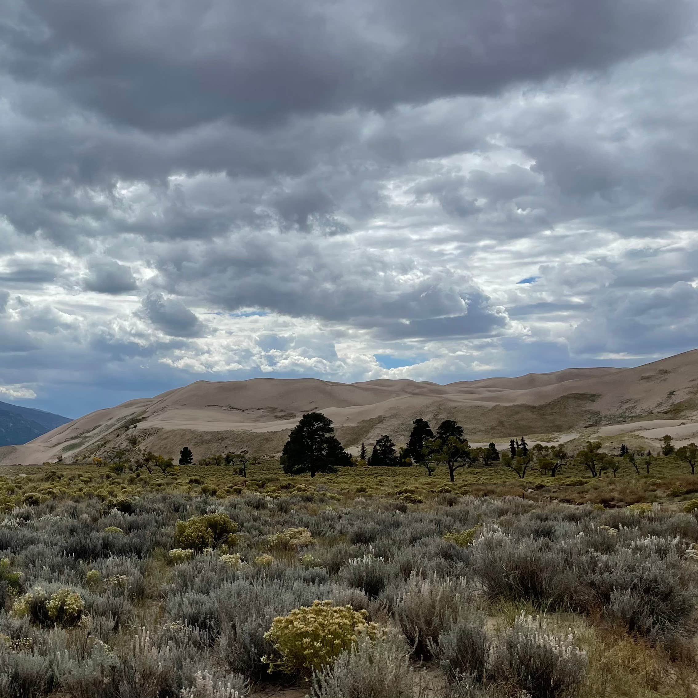 Medano Pass Primitive Road — Great Sand Dunes National Preserve Camping ...