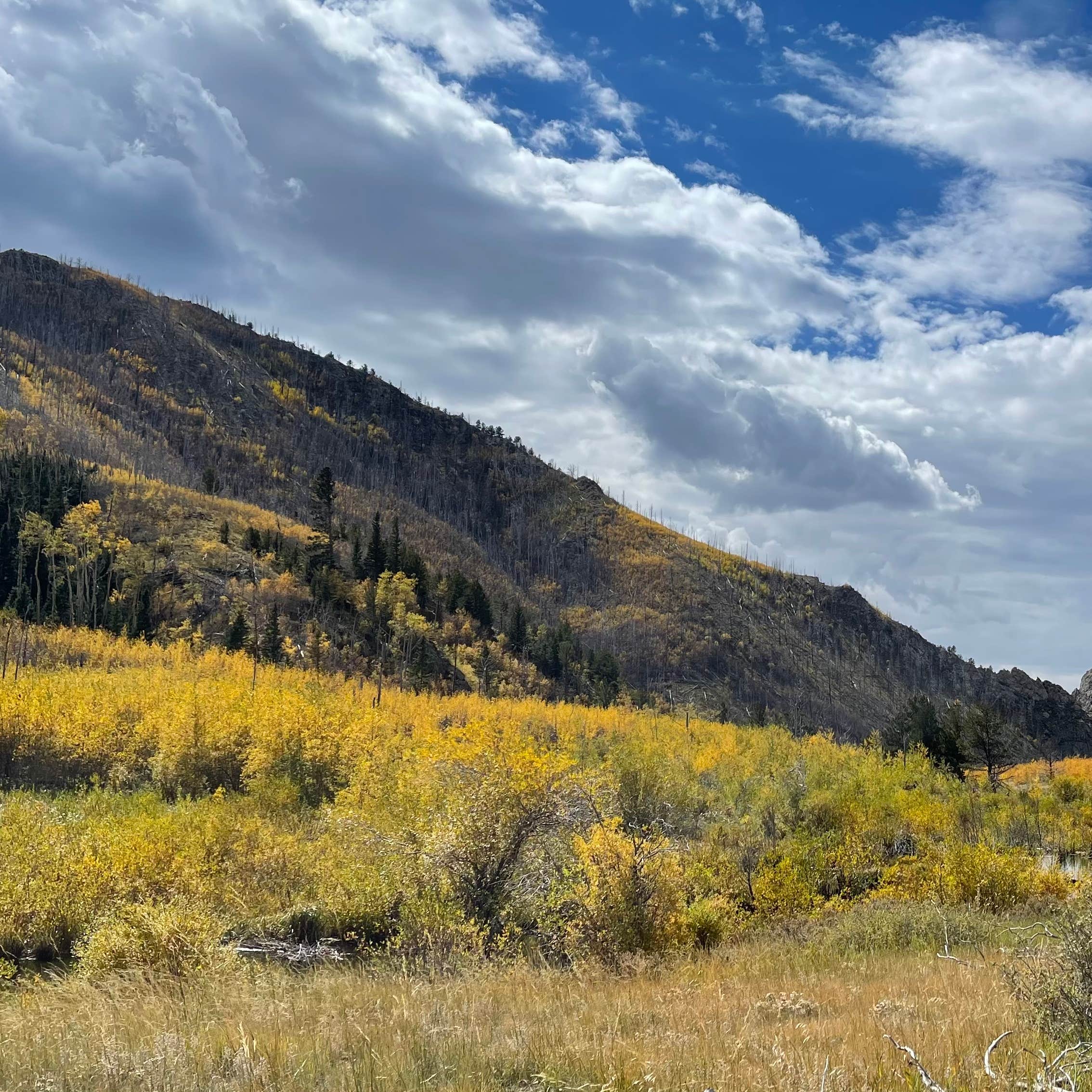 Medano Pass Primitive Road — Great Sand Dunes National Preserve Camping ...