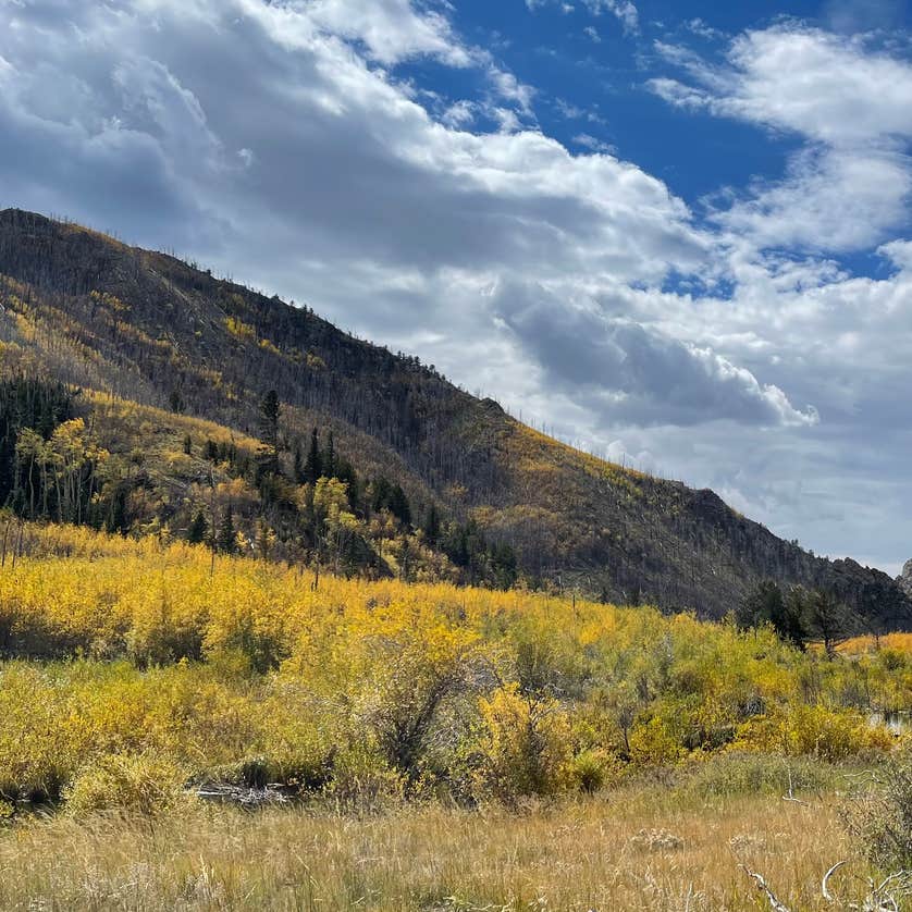 Medano Pass Primitive Road — Great Sand Dunes National Preserve Camping ...