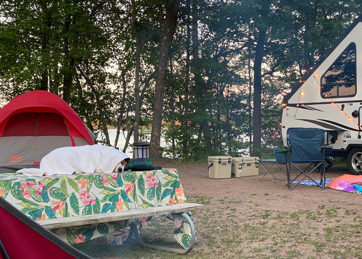 Lake Chippewa Campground Camping | The Dyrt