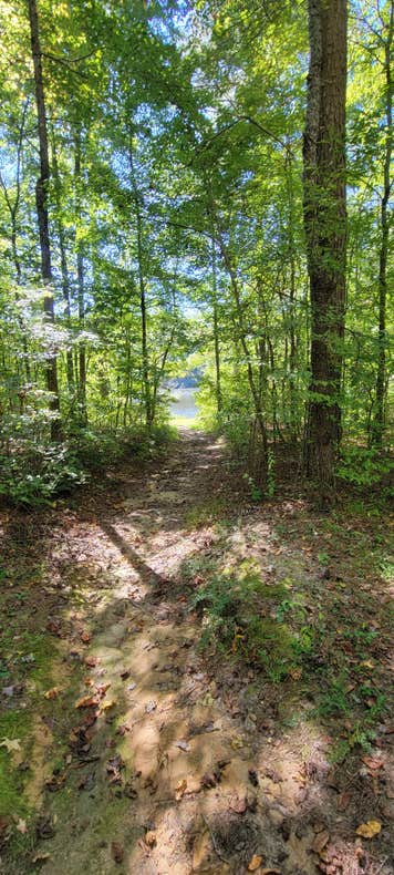 Coleman Lake Rec Area Camping | The Dyrt