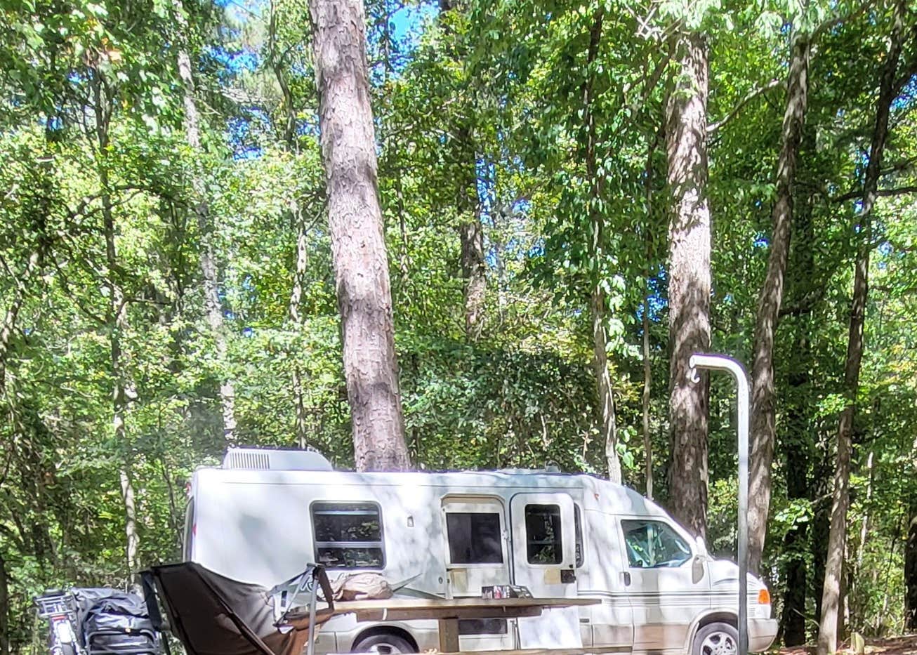 Coleman Lake Rec Area Camping | The Dyrt