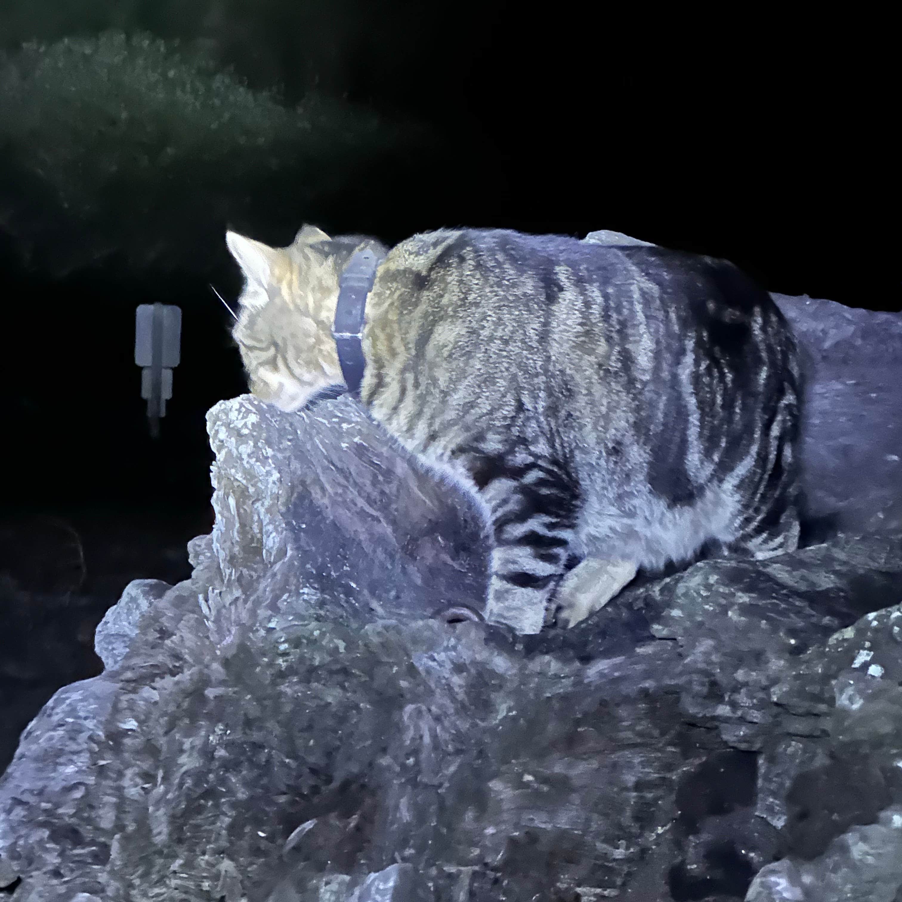 Navarro Beach - Navarro River Redwoods State Park Camping | Albion ...