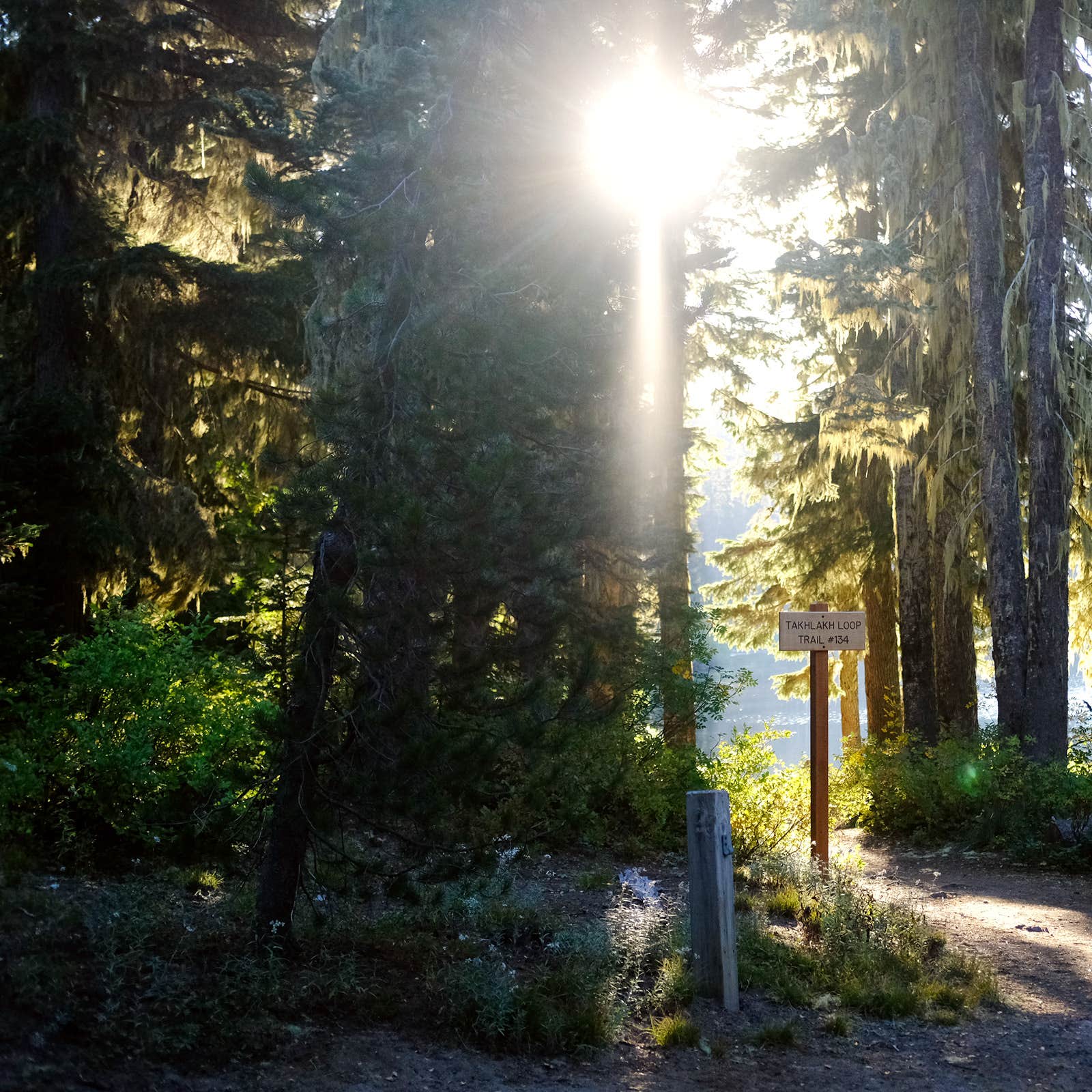 Takhlakh Lake Campground | Trout Lake, Washington