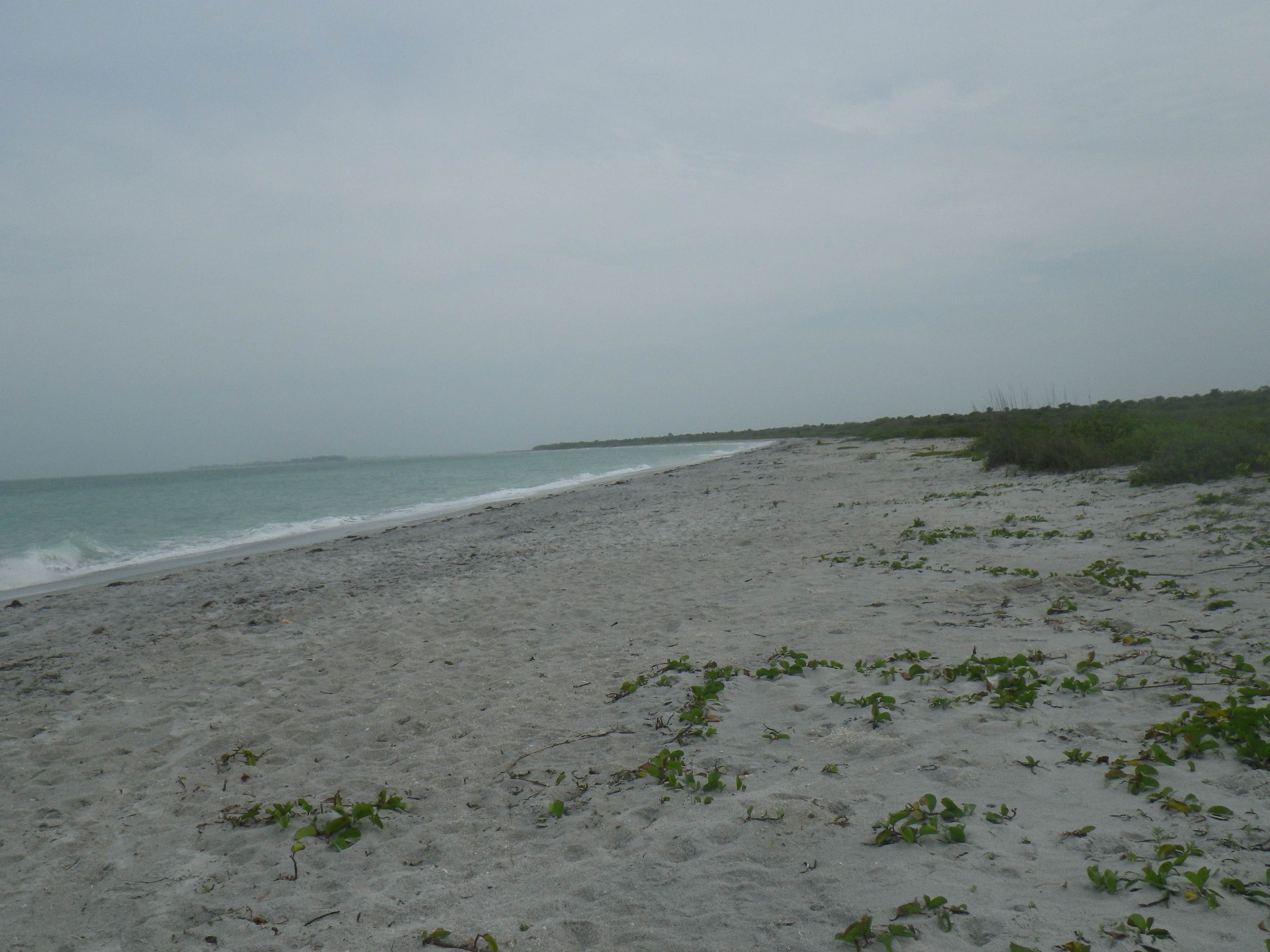 Cayo Costa State Park | The Dyrt