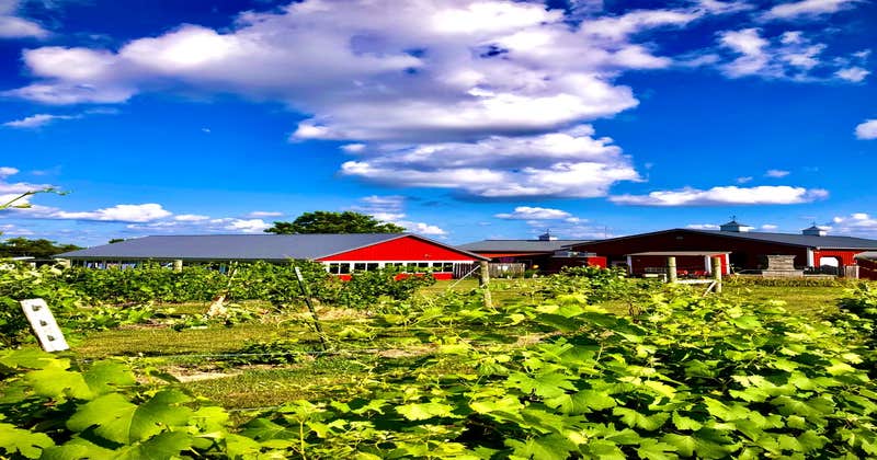 Stone Pillar Vineyard & Winery Camping | Lenexa, Kansas
