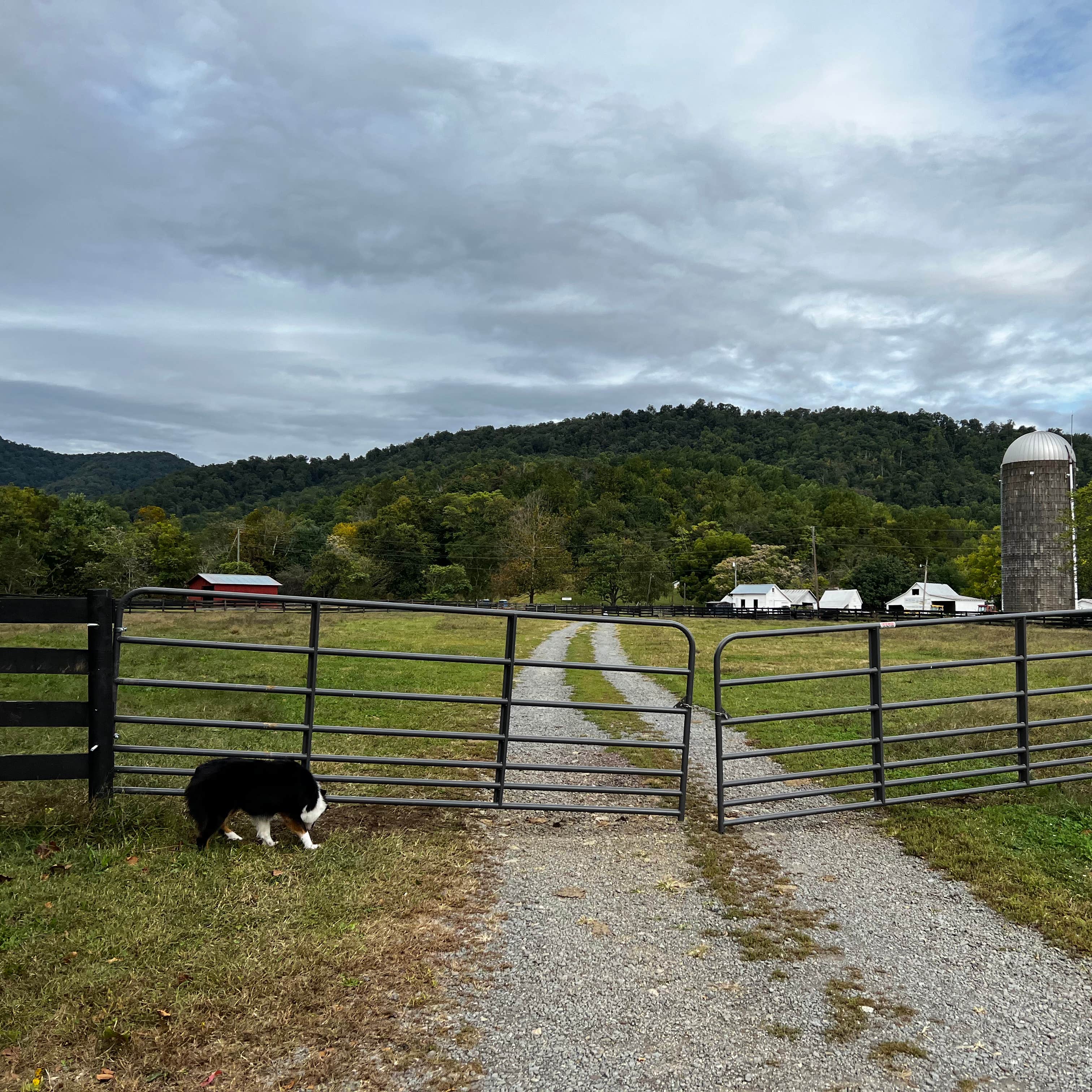 Graves Mountain Farm Campground Camping | The Dyrt