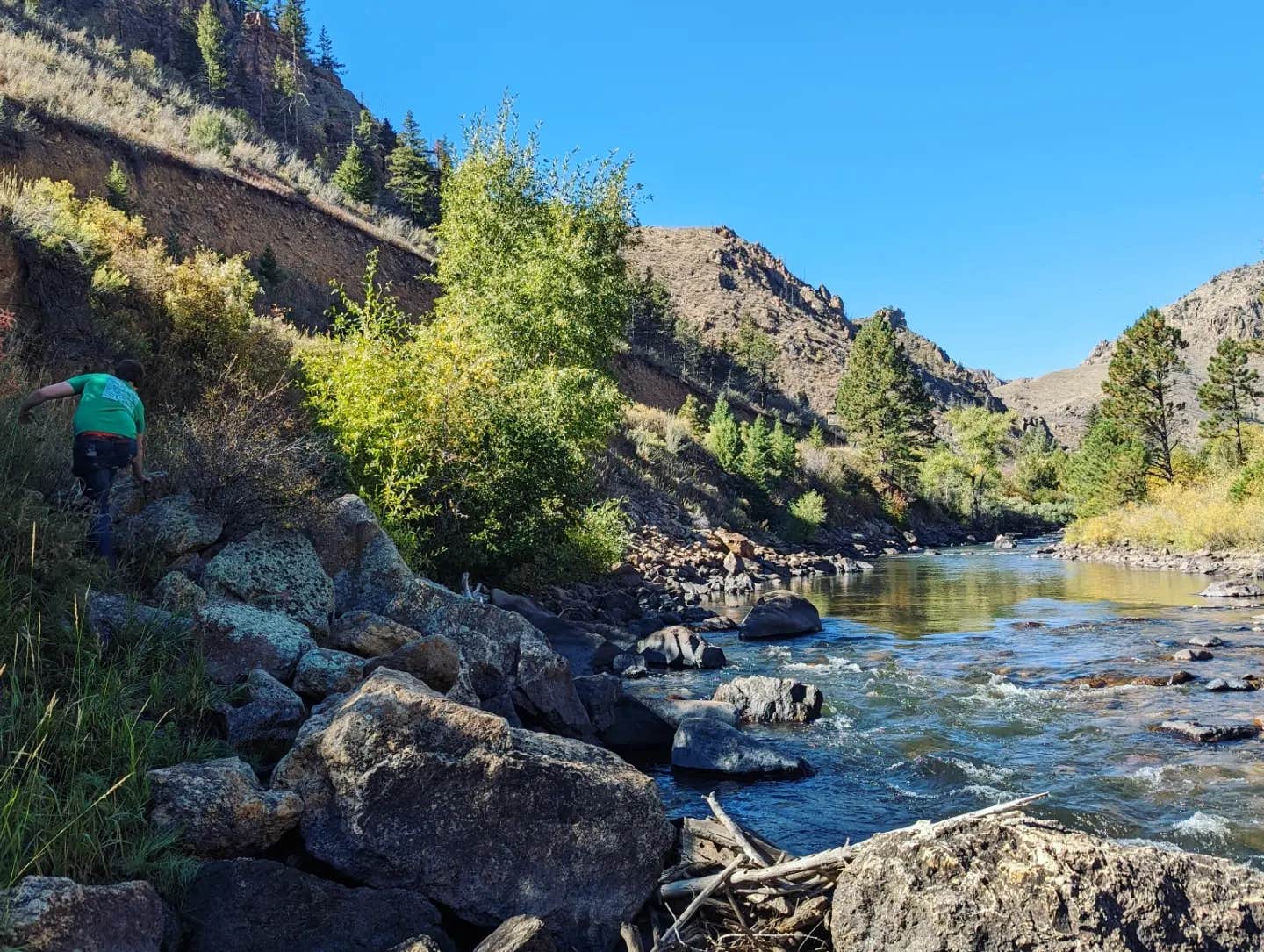 Stove Prairie Camping | Larimer, CO