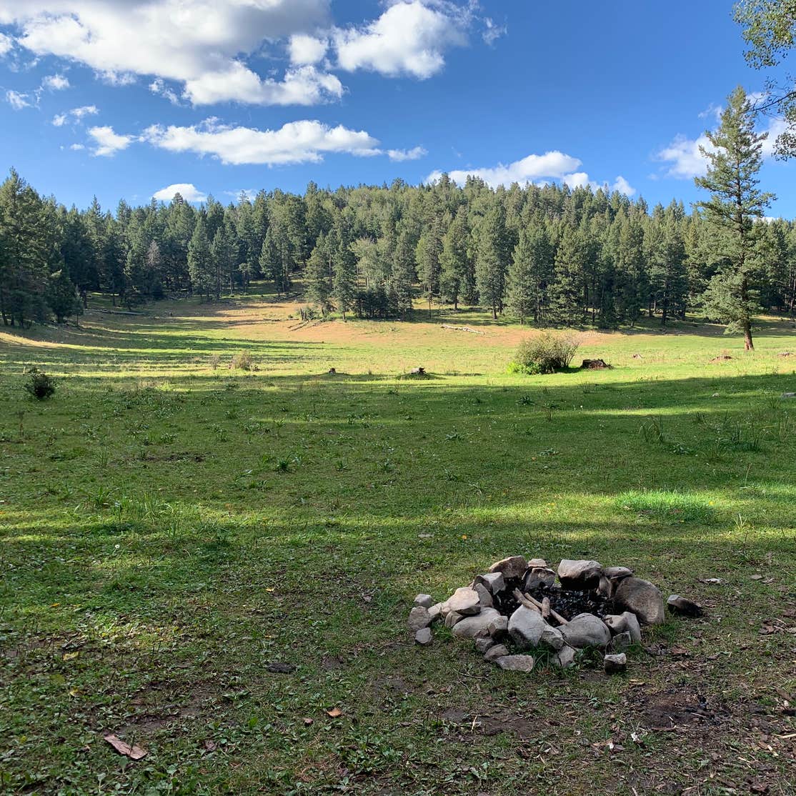 Lincoln NF - Forest Service Road 64 - Dispersed Camping Camping | The Dyrt