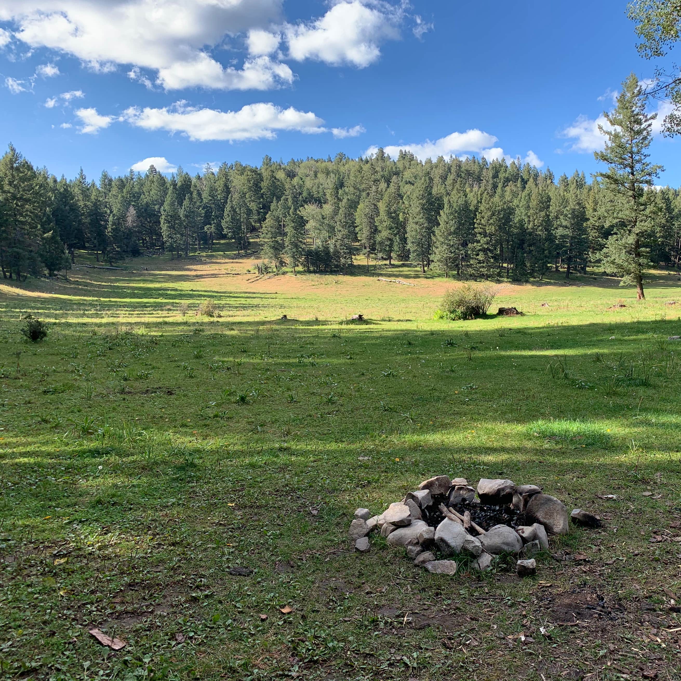 Lincoln NF - Forest Service Road 64 - Dispersed Camping Camping | The Dyrt