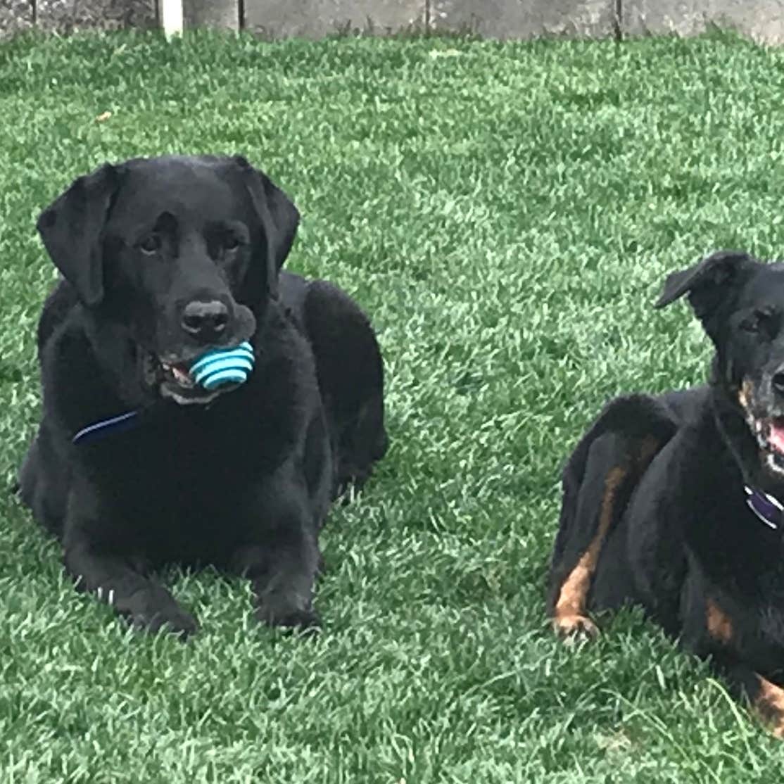 J & H RV Park | Flagstaff, Arizona