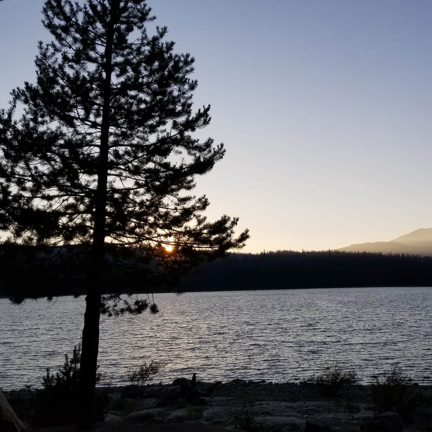 Deschutes National Forest Spring Campground | Crescent, Oregon