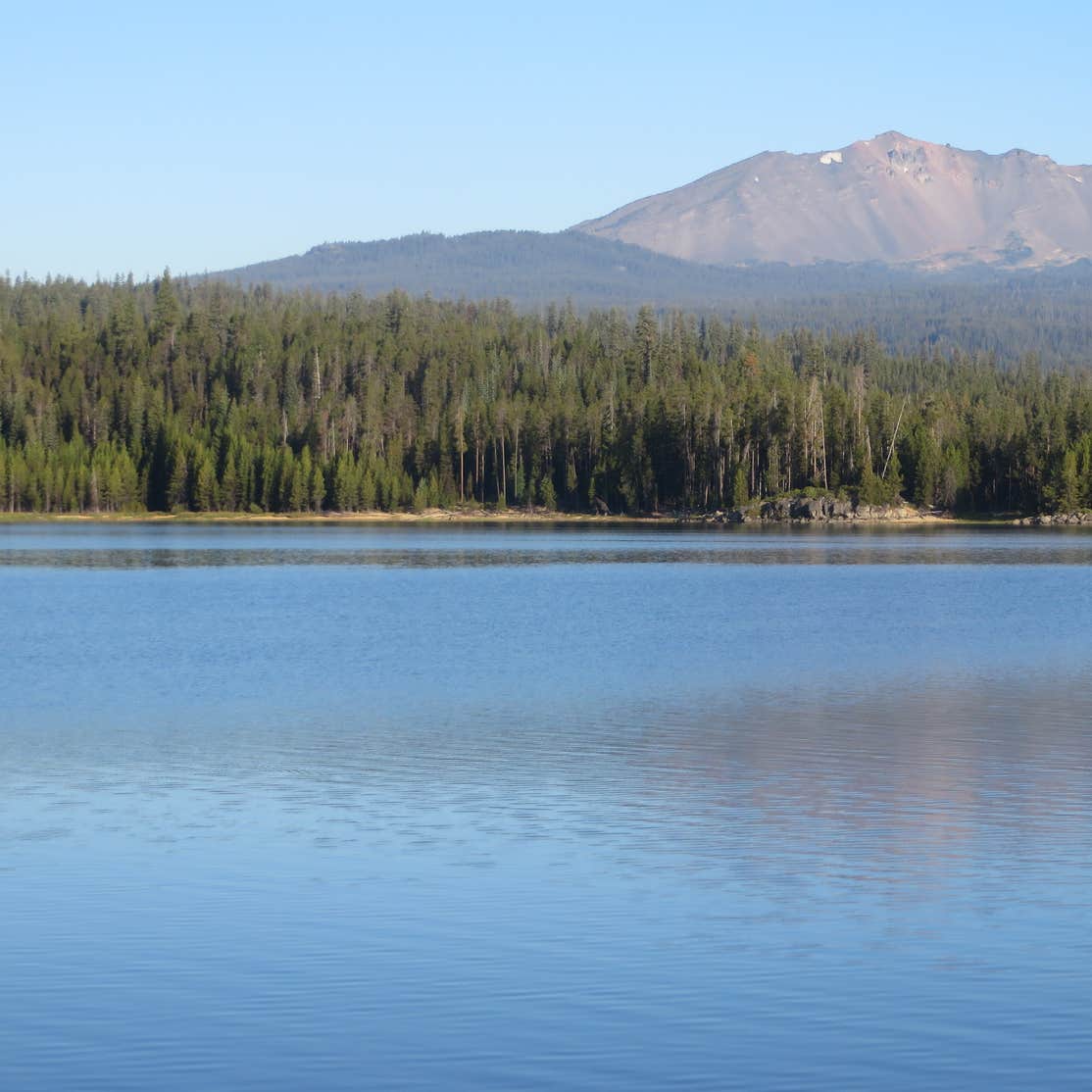 Deschutes National Forest Spring Campground | Crescent, Oregon