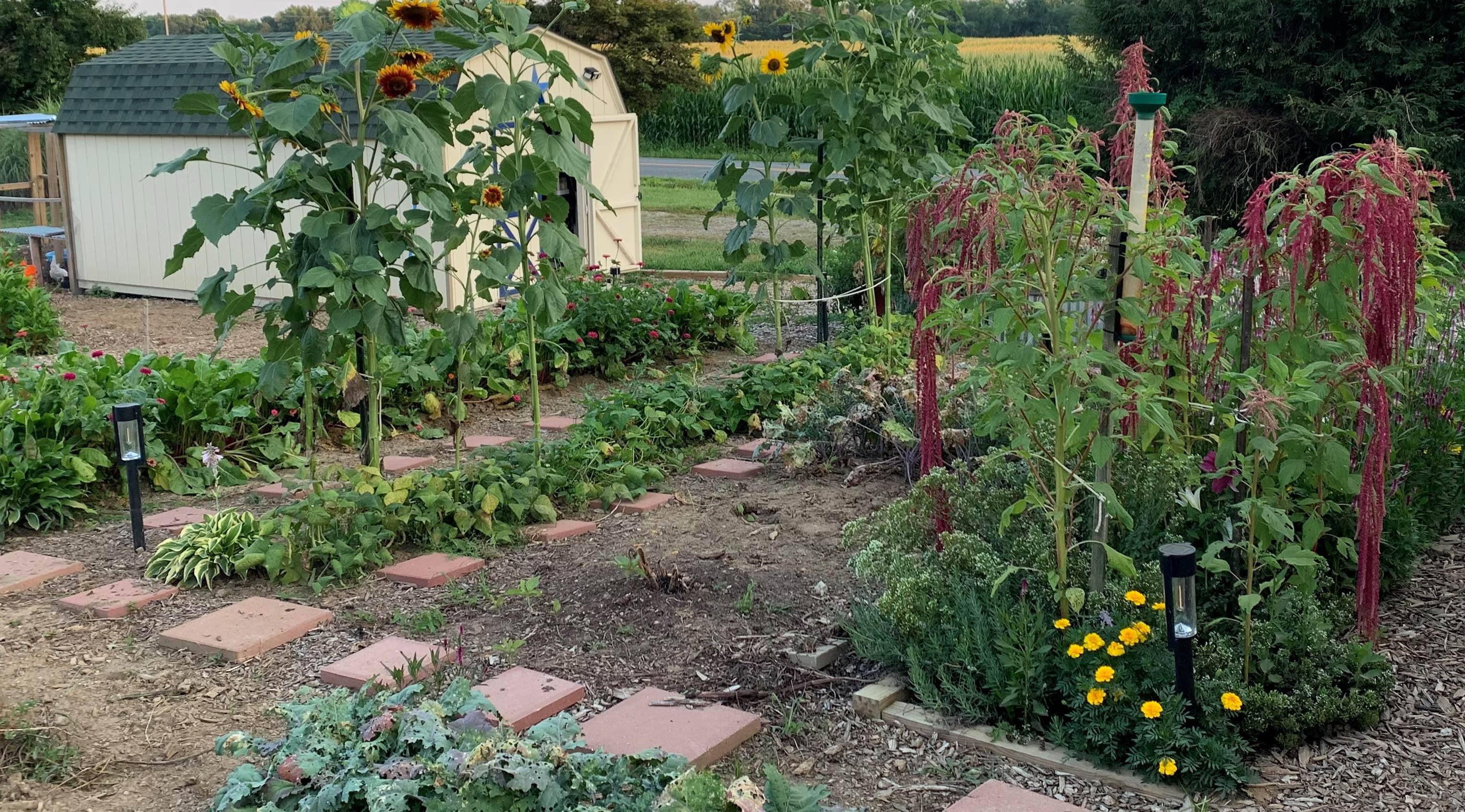 Huck and Buck Farm Camping | Smyrna, DE