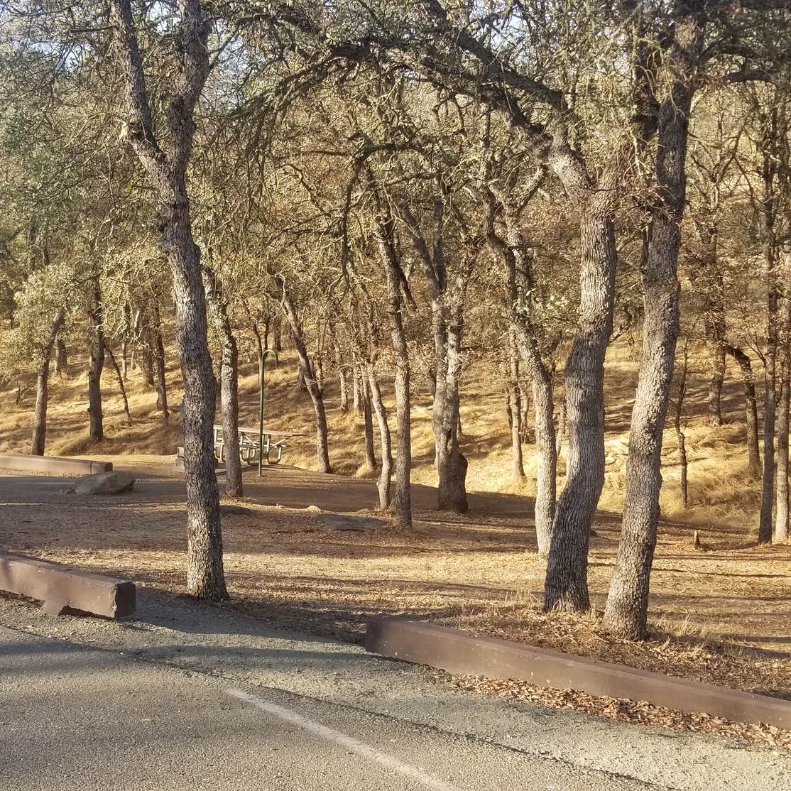 Acorn Campground | Valley springs, CA