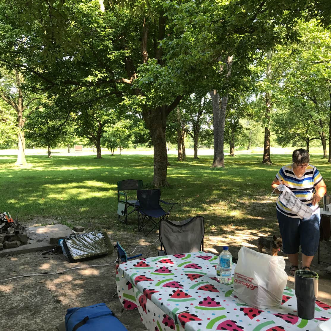 Eldon Hazlet State Recreation Area Camping | The Dyrt