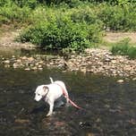 Brookside RV and tent camping Camping | The Dyrt