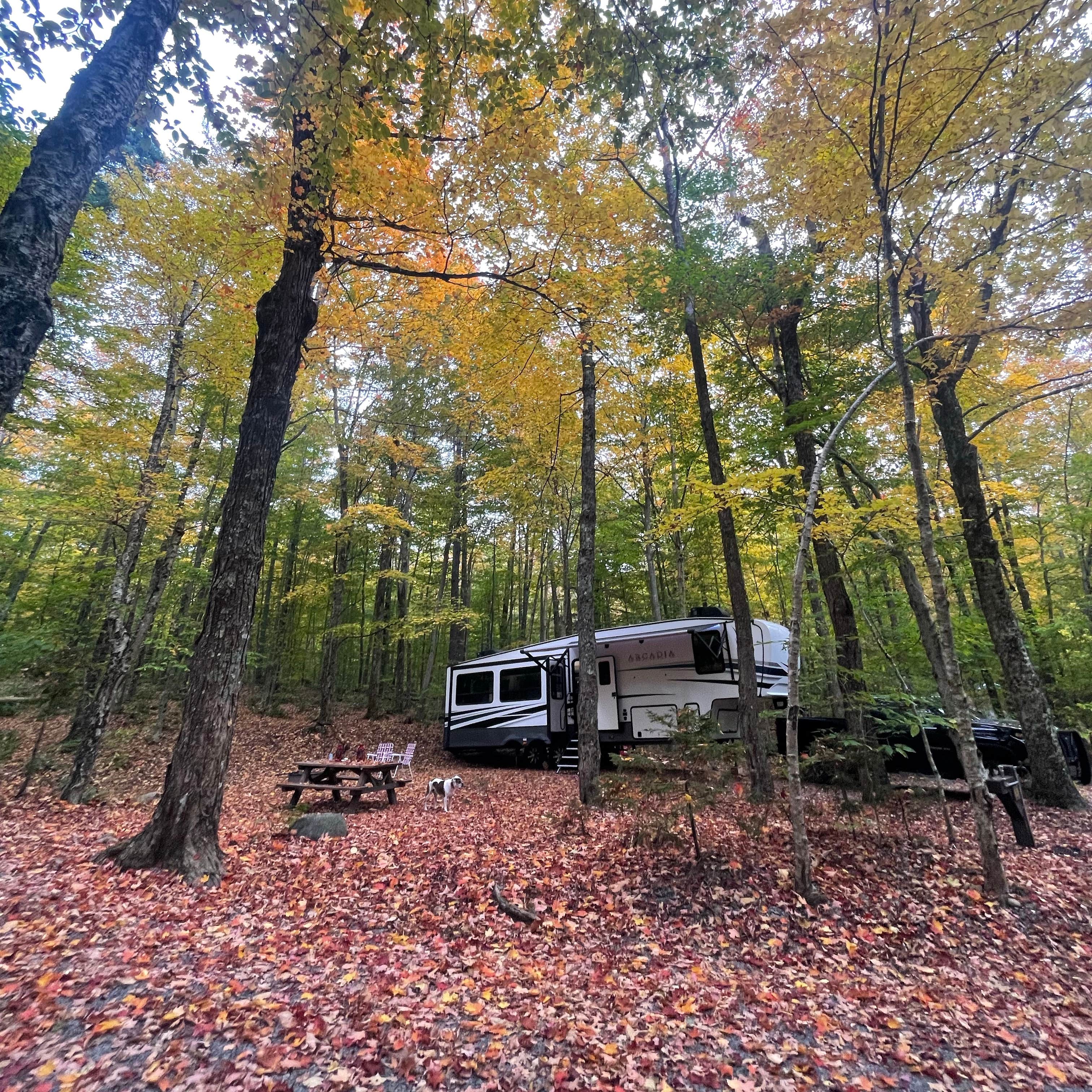 Nicks Lake Campground | Thendara, New York