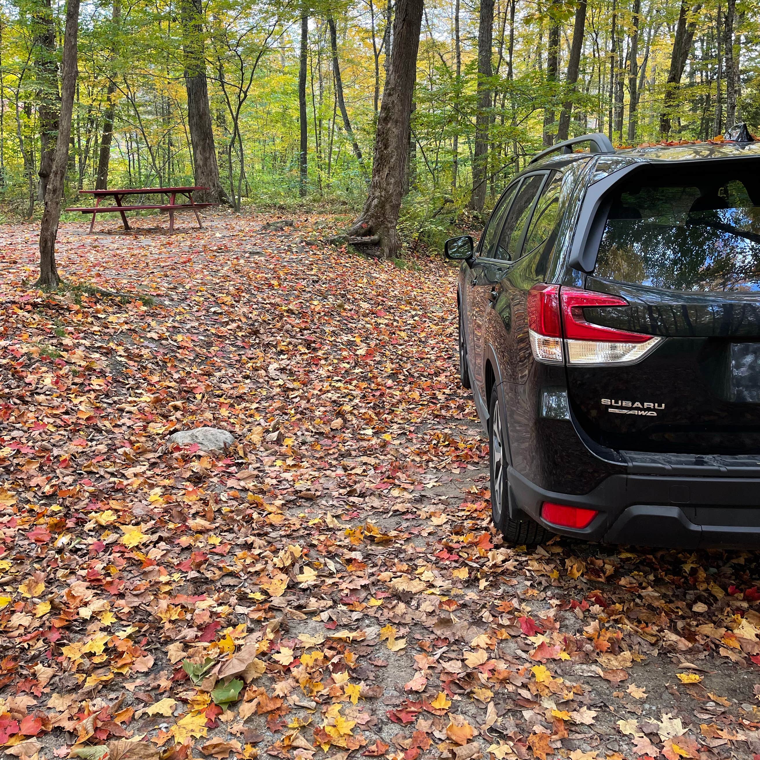 Camping On The Battenkill | Arlington, Vermont