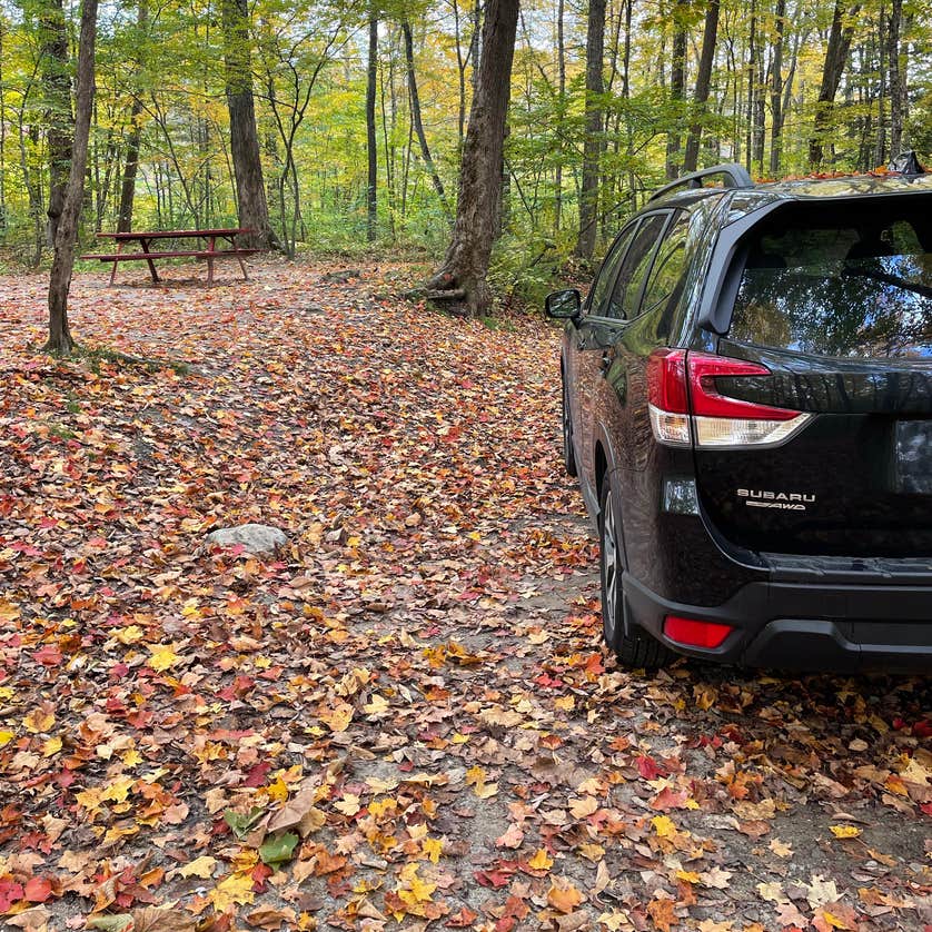 Camping On The Battenkill | Arlington, Vermont