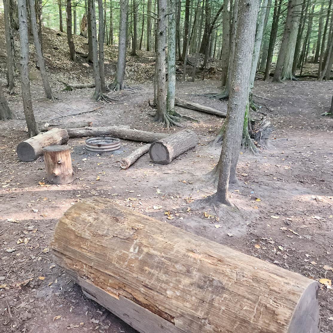 Porcupine Mountains Backcountry Camping — Porcupine Mountains ...